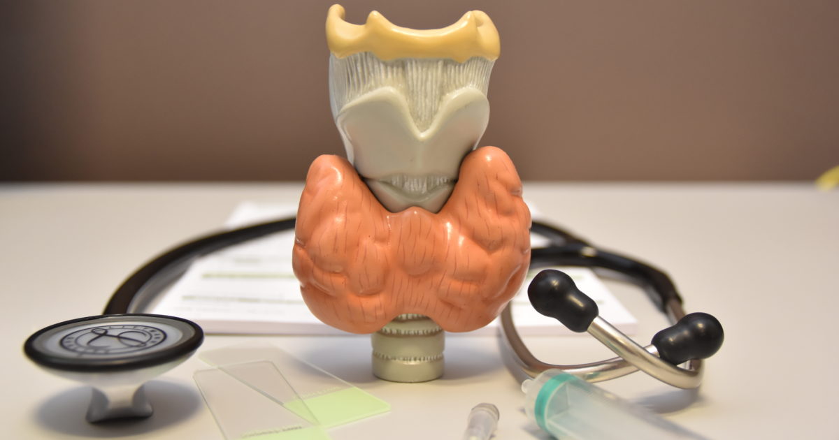 Jan Yperman Ziekenhuis | Vergrote schildklier (struma)